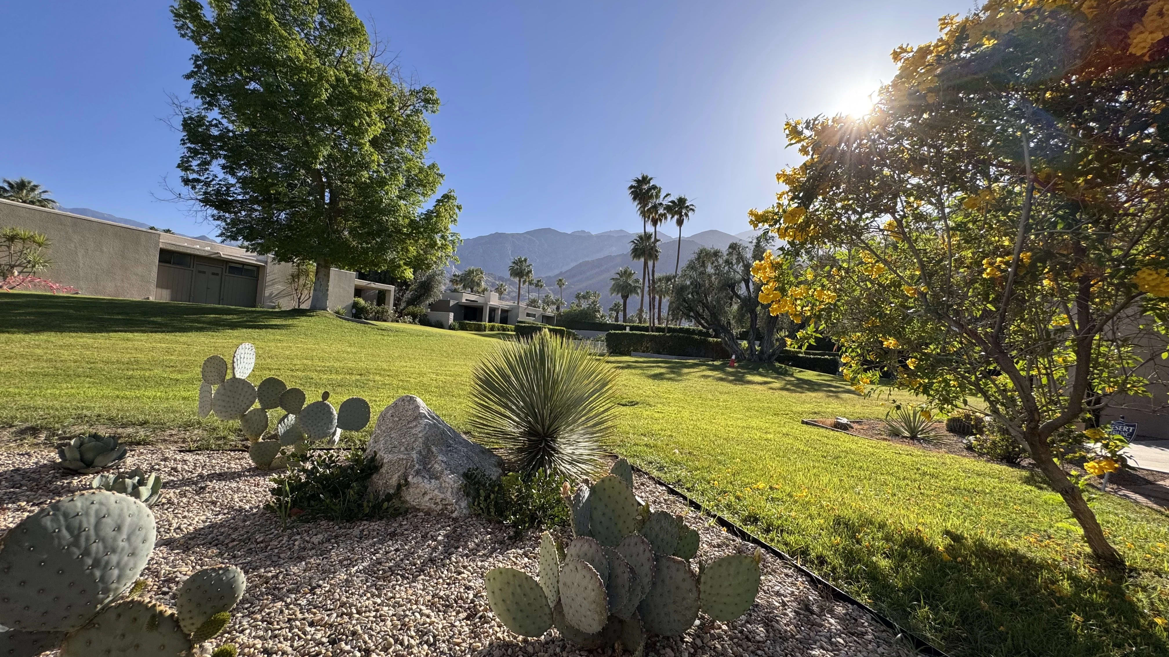 The Brutalist: Exploring Laszlo Sandor’s Canyon South III and the Rise of 1970s Desert Modernism ...